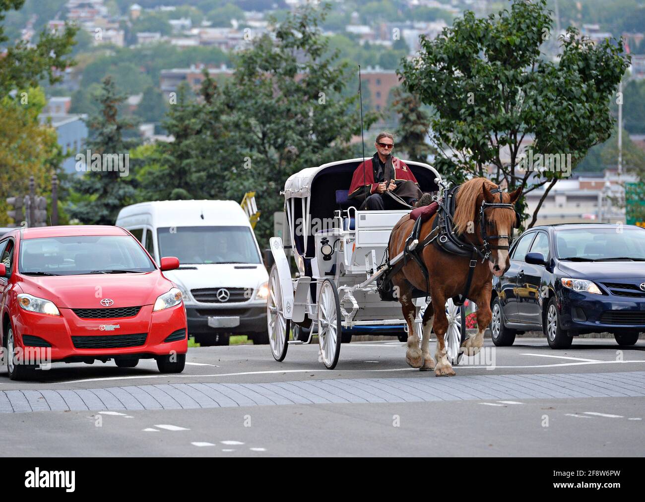 Quebec caleche Banque de photographies et d’images à haute résolution ...