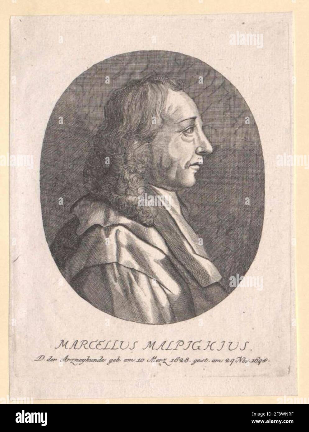 Marcello malpighi Banque de photographies et d’images à haute ...