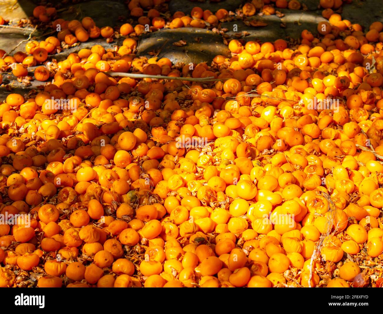 Fruits pourris afrique Banque de photographies et d’images à haute ...