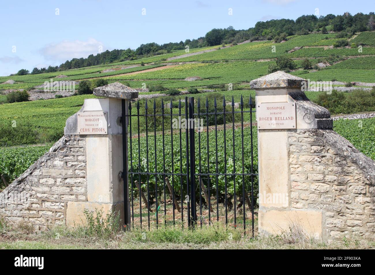 Clos pitois Banque de photographies et d’images à haute résolution - Alamy