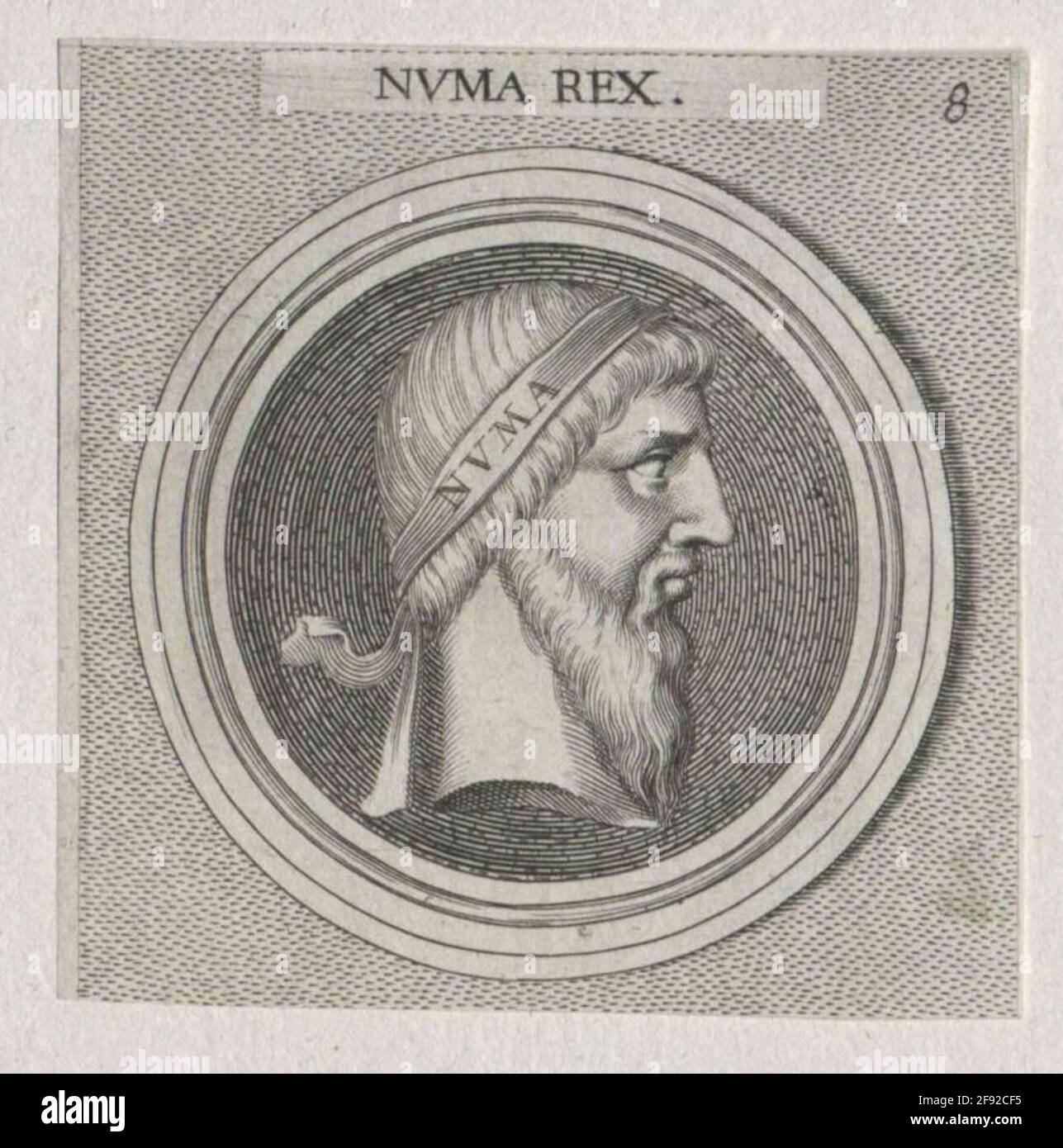 Numa pompilius Banque de photographies et d’images à haute résolution ...