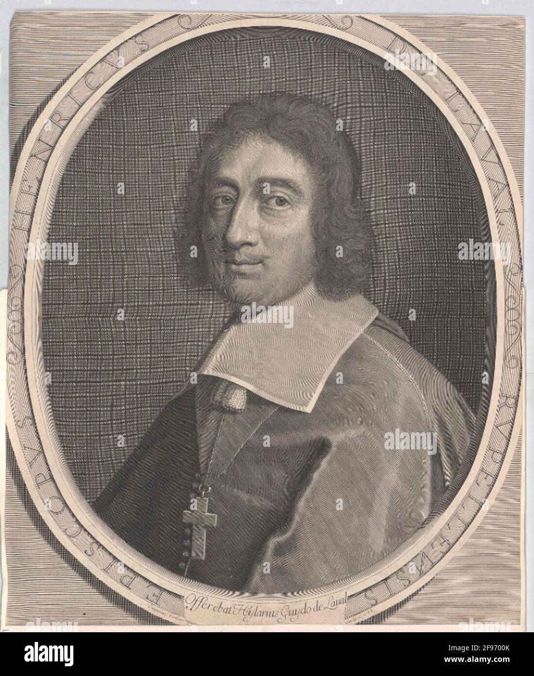 Bois dauphin Banque de photographies et d’images à haute résolution - Alamy