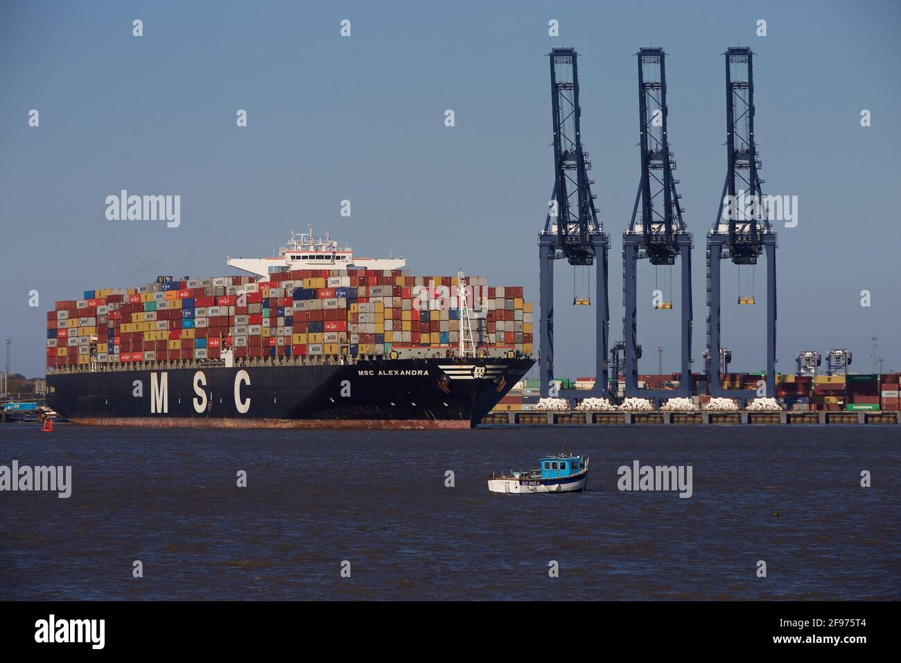 Msc alexandra Banque de photographies et d’images à haute résolution ...