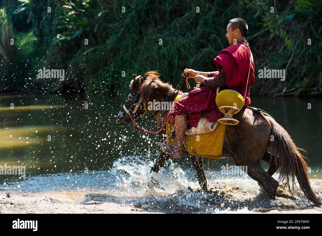 Thaïlande, Chiang Rai, temple Wat Tham PAA / Wat Phra Archa Thong ...