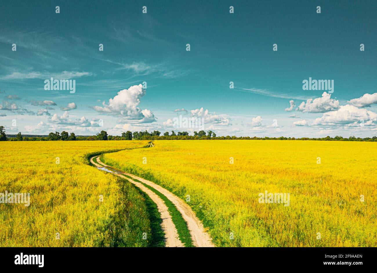 Champ Avec Route De Campagne Au Printemps Banque d'image et photos - Alamy