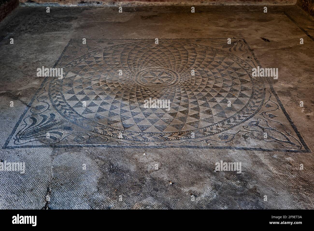 Ancien sol en mosaïque romaine dans la Maison des Cupidés d'Or, Pompéi ...