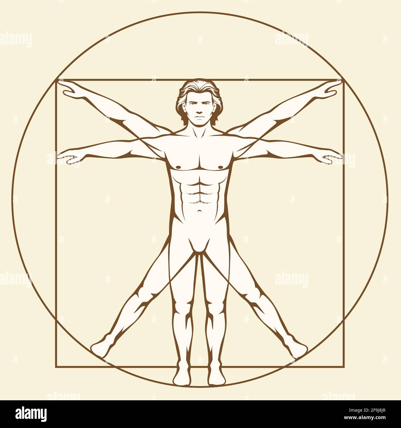 L’anatomie du corps humain Banque d'images vectorielles - Alamy