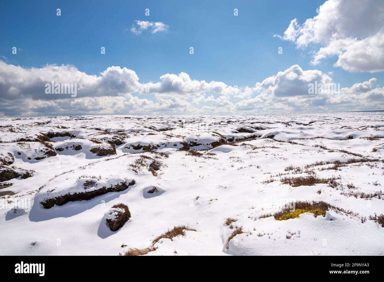 Plateau de kinder Banque de photographies et d’images à haute ...