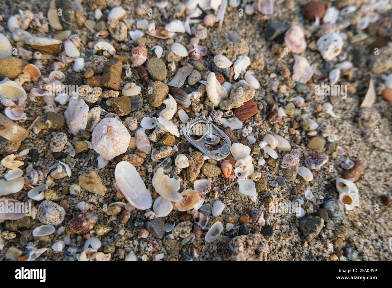 Pollution de l'aluminium sur l'écosystème marin contaminé de la côte ...