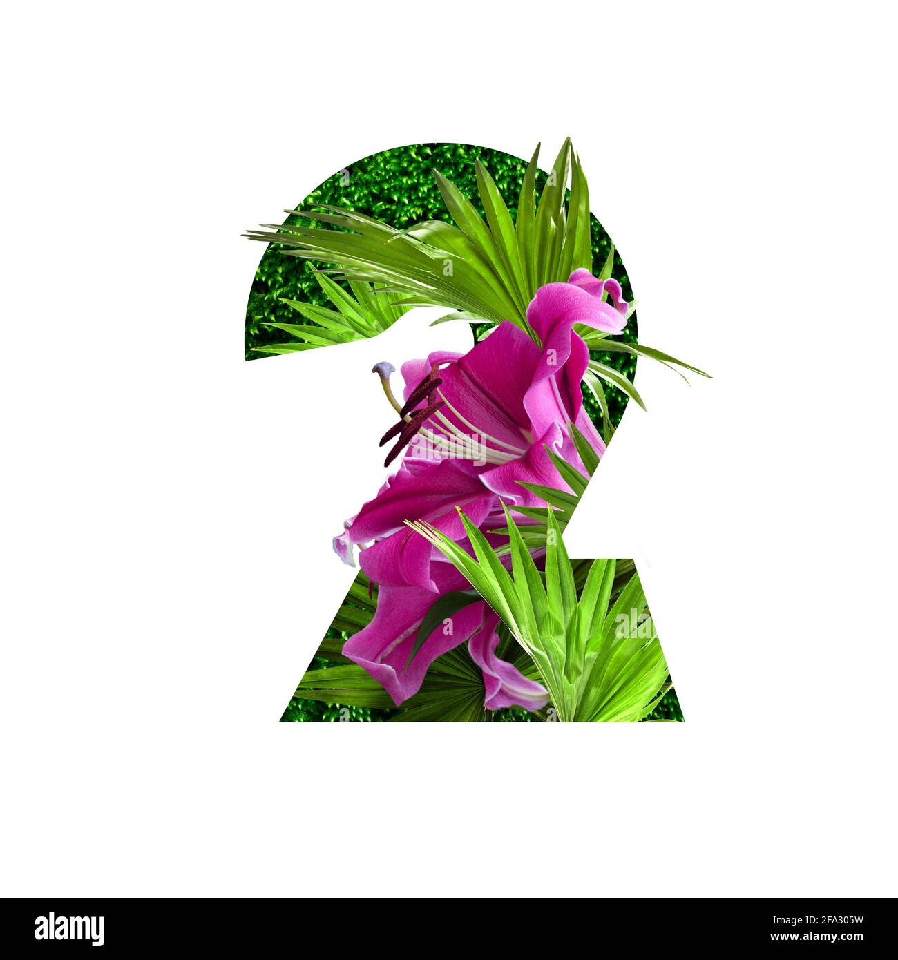 Chiffre fleuris 2 Banque de photographies et d’images à haute ...