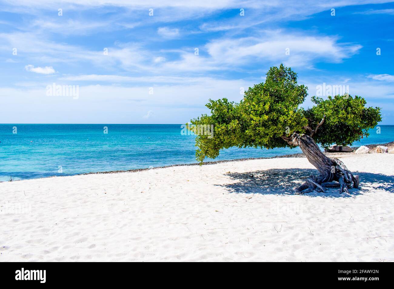 Île Dutch Caribean Aruba connue pour ses plages blanches et ses ...