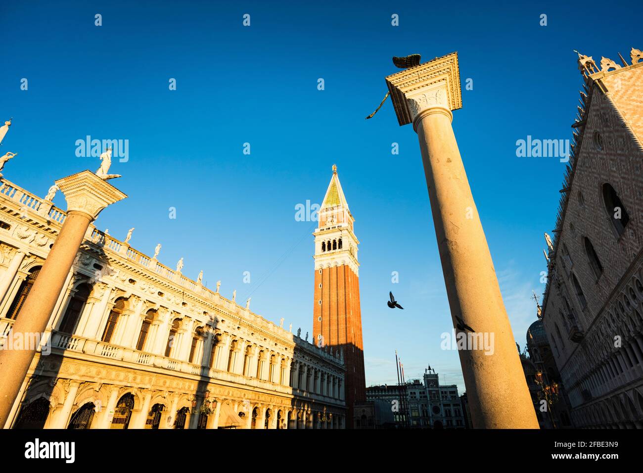 Colonne du lion de venise Banque de photographies et d’images à haute ...