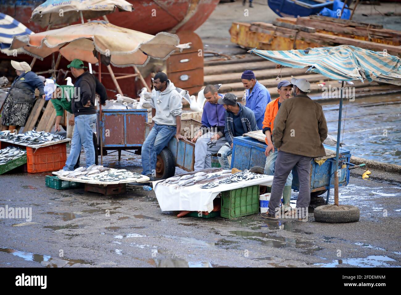 PORT MAROC-ESSAOUIRA et ville balnéaire sur la côte atlantique, sa ...