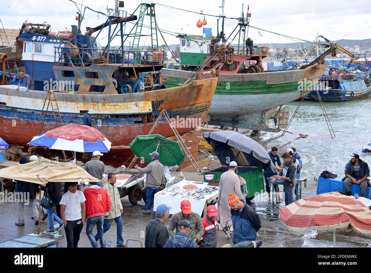 PORT MAROC-ESSAOUIRA et ville balnéaire sur la côte atlantique, sa ...