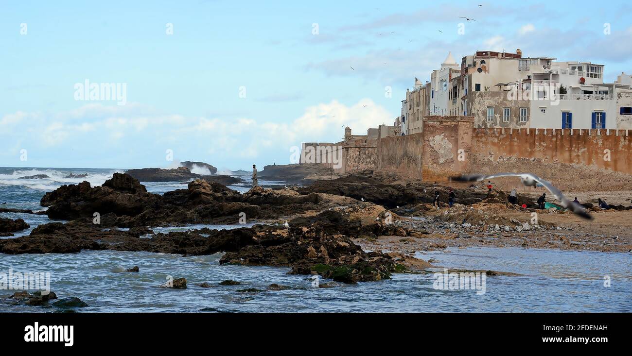 PORT MAROC-ESSAOUIRA et ville balnéaire sur la côte atlantique, sa ...