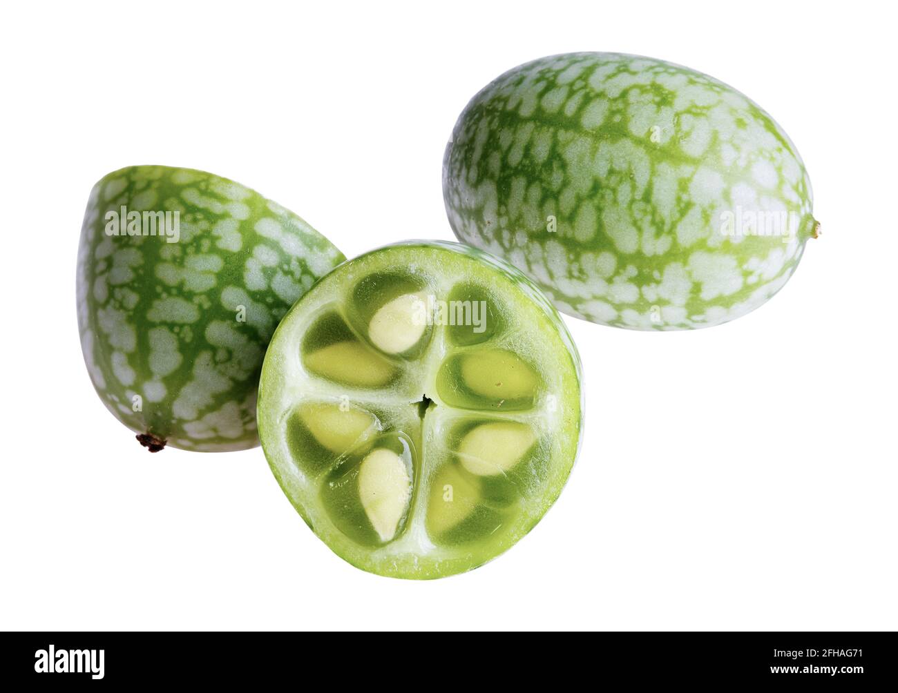 Concombre aigre mexicain Banque de photographies et d’images à haute ...
