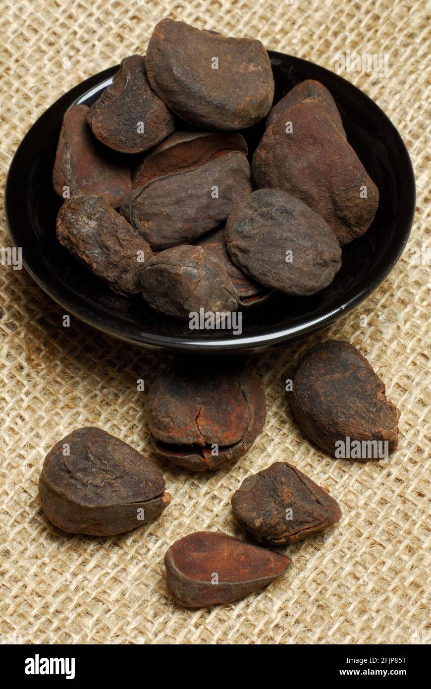 Noix de cola Banque de photographies et d’images à haute résolution - Alamy