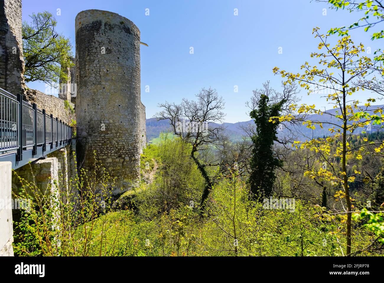 Le Château de Pfeffingen est un château situé dans la commune de ...