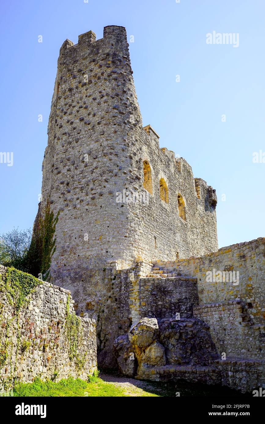 Le Château de Pfeffingen est un château situé dans la commune de ...