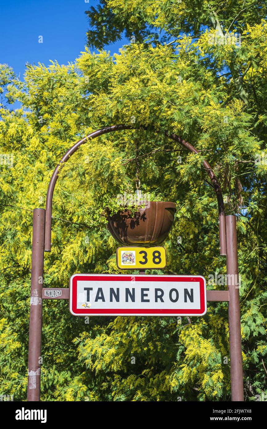 Forêt de tanneron Banque de photographies et d’images à haute ...