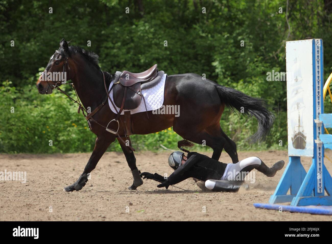 Saut d'obstacle cheval chute Banque de photographies et d’images à ...