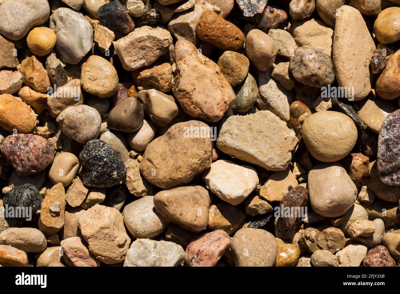 Détails de texture des galets de pierre humide ou arrière-plan des ...