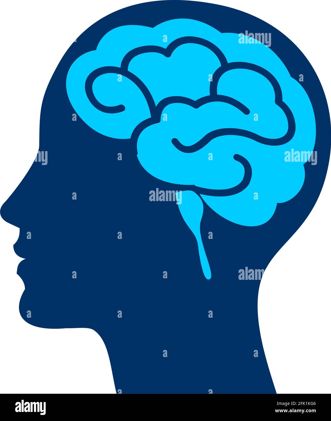 Silhouette de la tête humaine et structure du cerveau. Illustration du ...