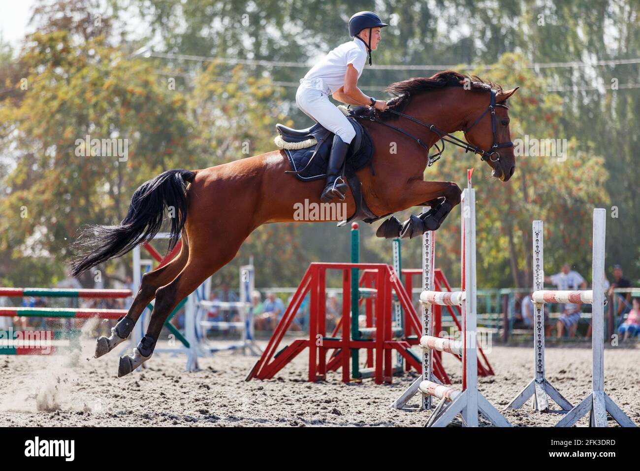 Cheval de saut Banque de photographies et d’images à haute résolution ...