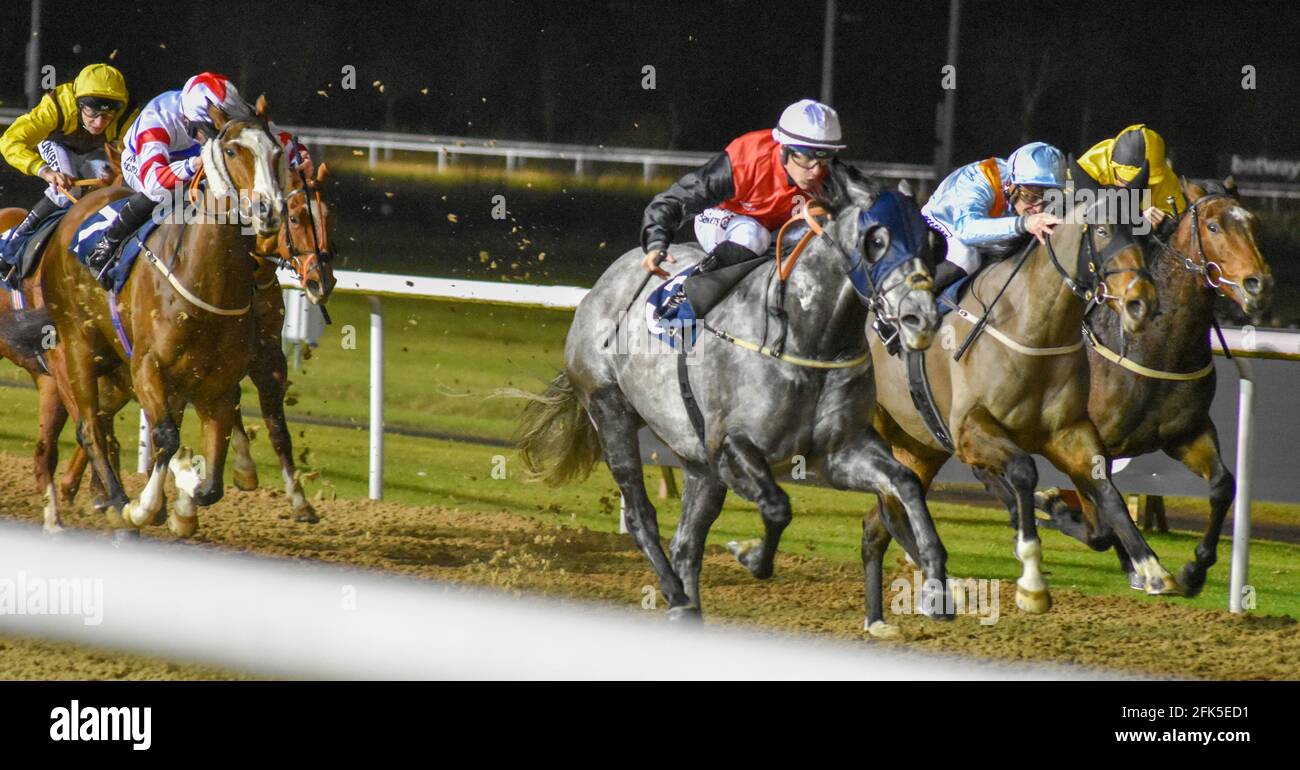 Horse racing wolverhampton races Banque de photographies et d’images à ...