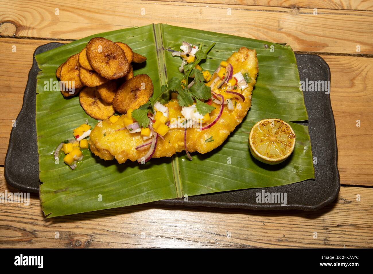 Poisson feuille africaine Banque de photographies et d’images à haute ...