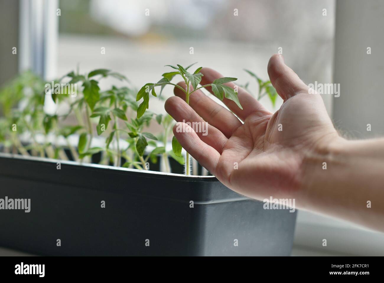 Jeune main Banque de photographies et d’images à haute résolution - Alamy