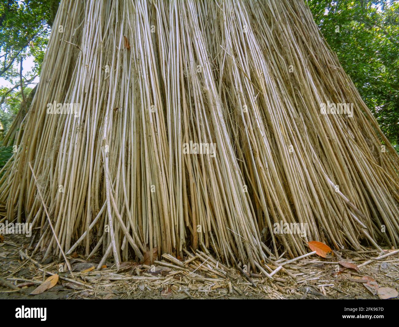 Une fois extrait Banque de photographies et d’images à haute résolution ...