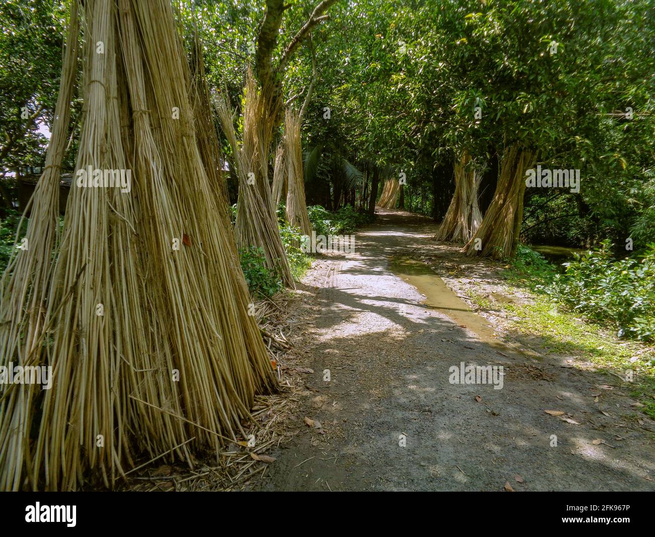 Moindre mesure Banque de photographies et d’images à haute résolution ...