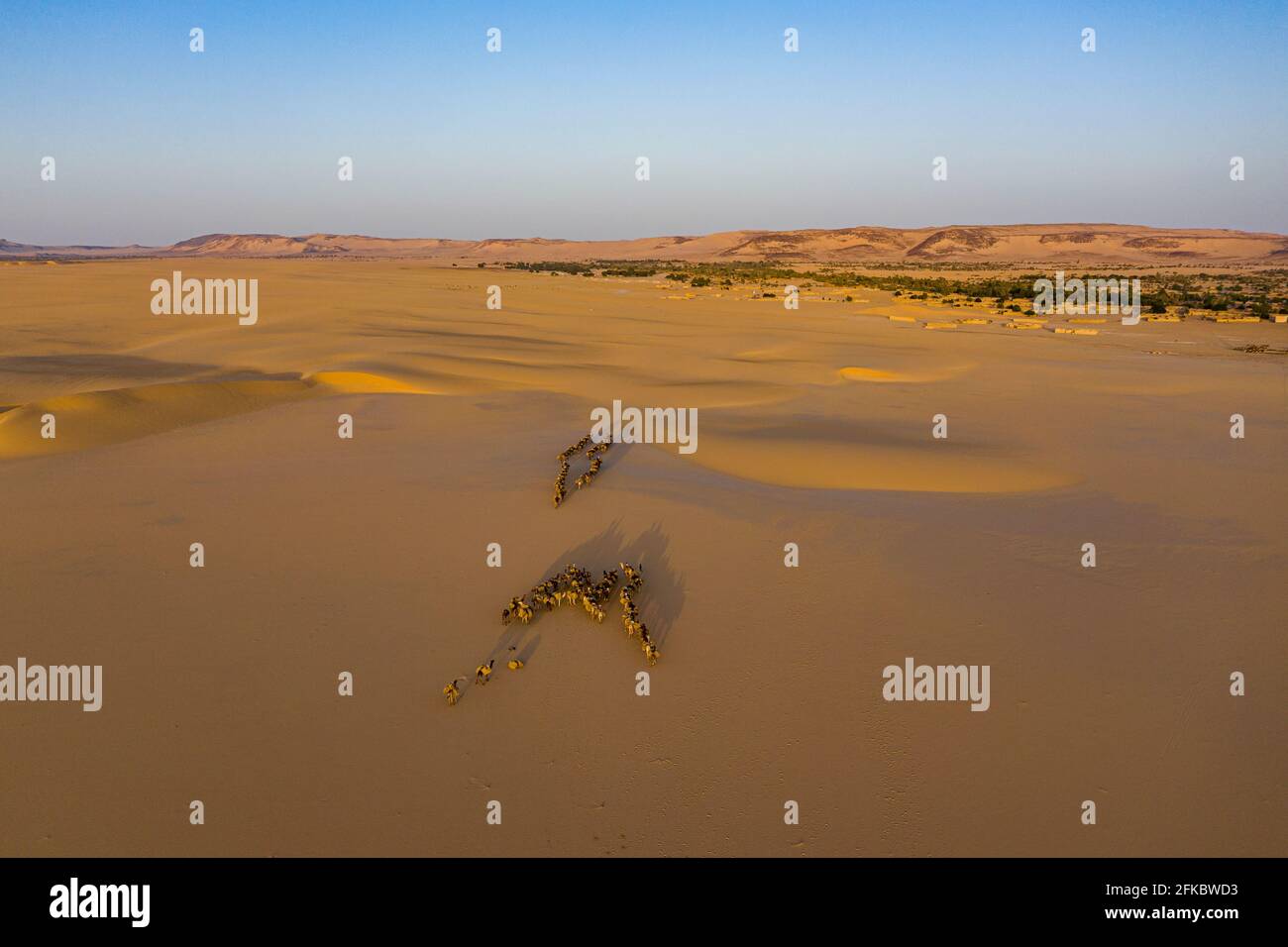 Désert du tenere Banque de photographies et d’images à haute résolution ...