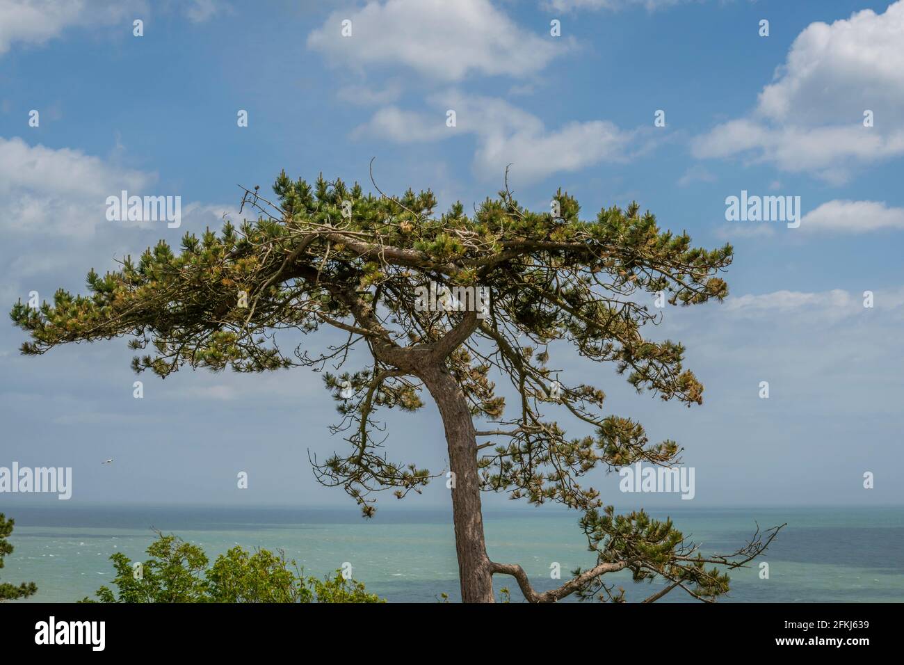 Folkestone kent harbour Banque de photographies et d’images à haute ...
