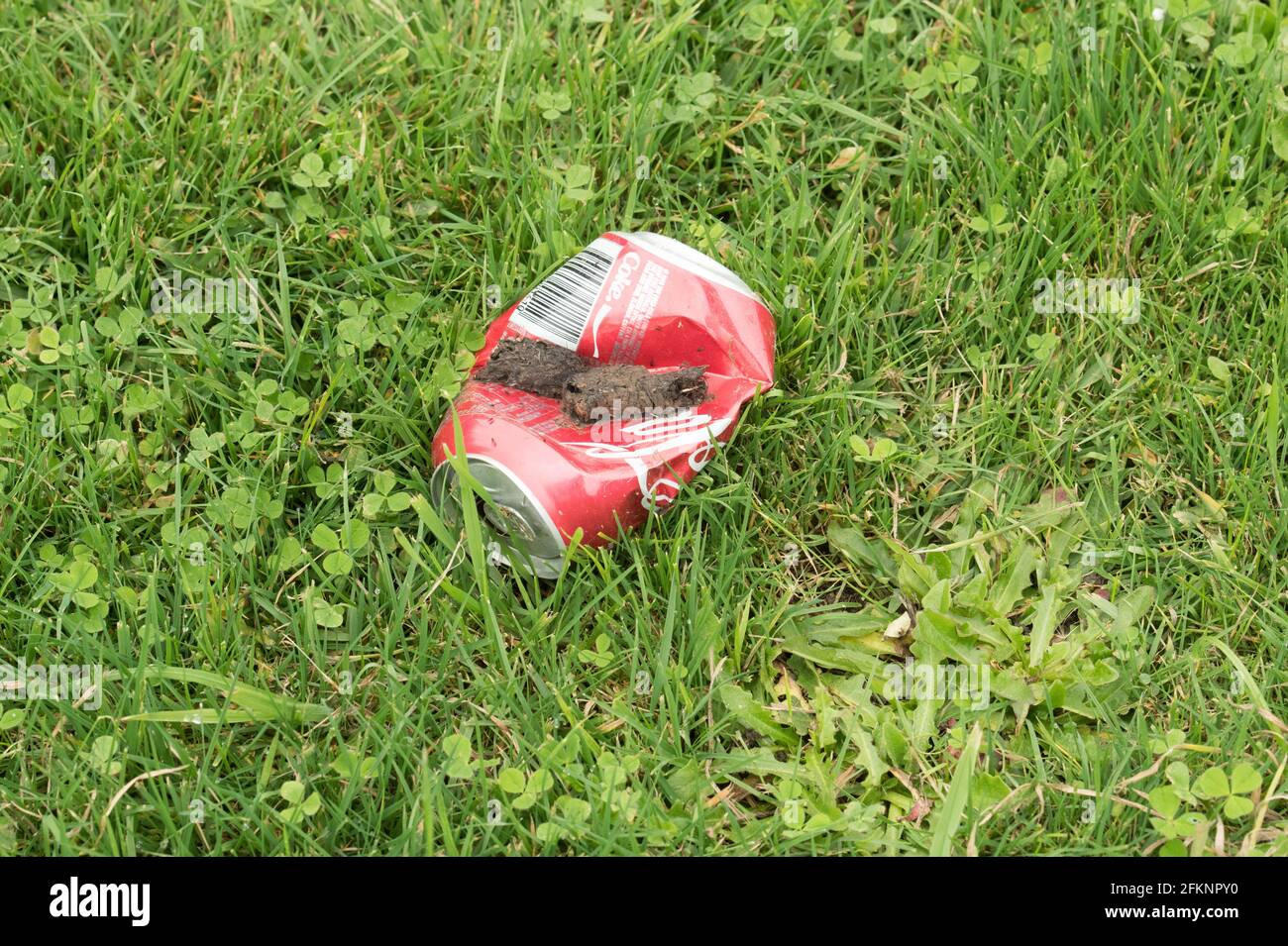 Crottes de renard Banque de photographies et d’images à haute ...