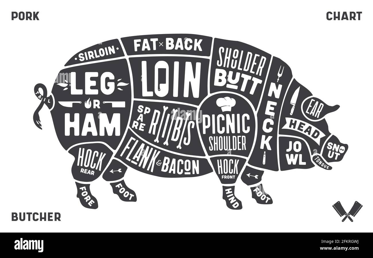 Porc, porc. Schéma, diagramme, diagramme de porc, guide de boucher ...