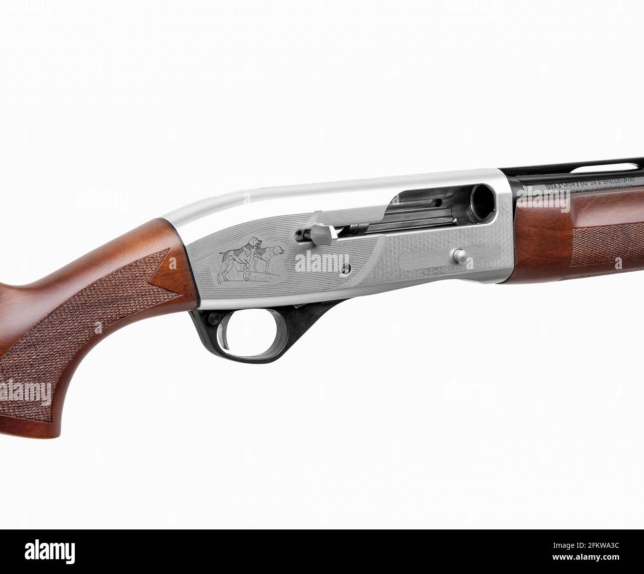 Fusil semi-automatique moderne. Armes pour le sport et la chasse. Arme ...