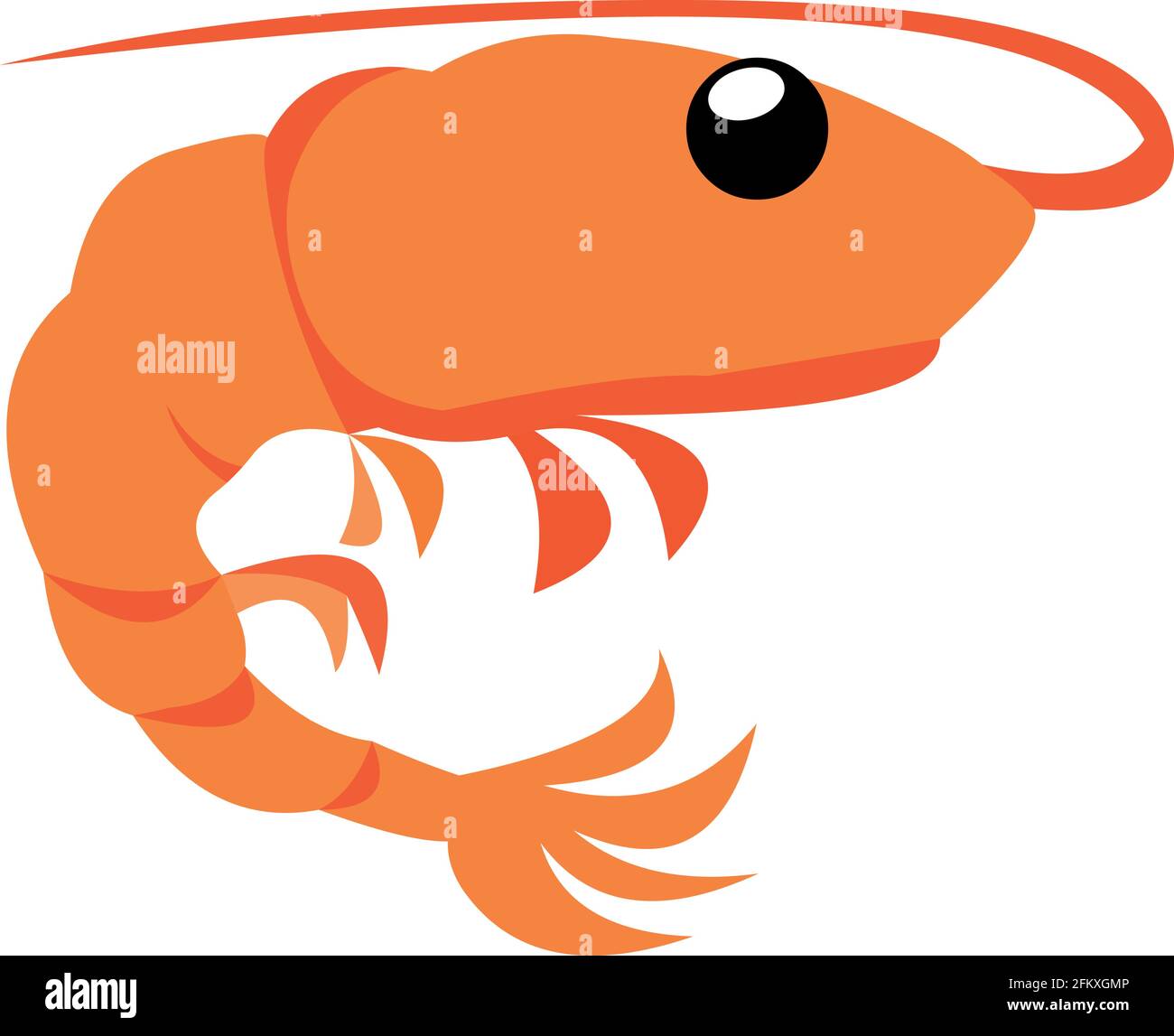 Illustration vectorielle d'une crevette de dessin animé Image ...