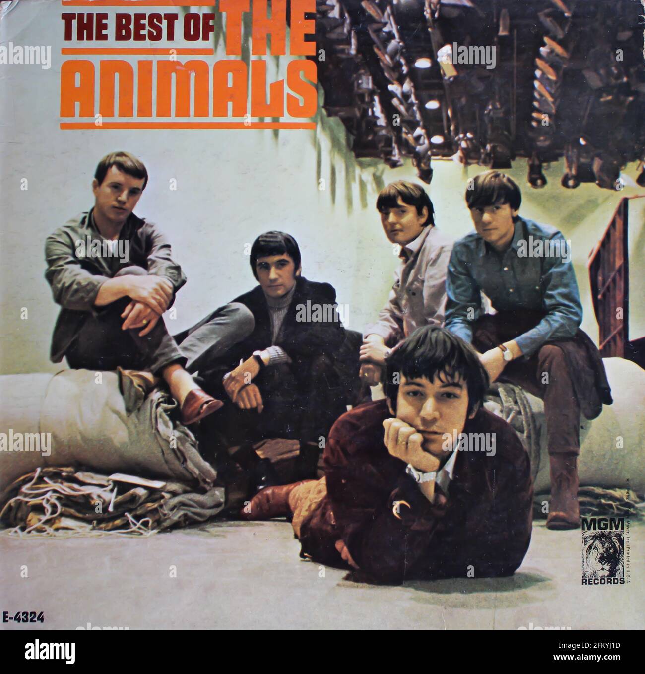 The animals band 60s Banque de photographies et d’images à haute ...