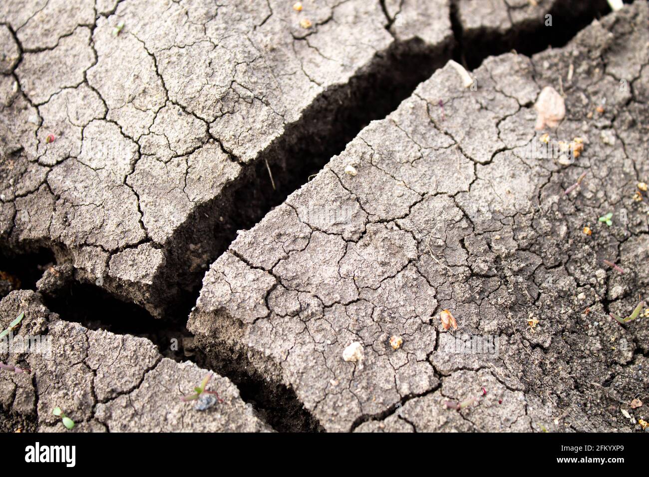 Fissures profondes dans le sol. Le sol sec est fissuré. Sol noir avec ...