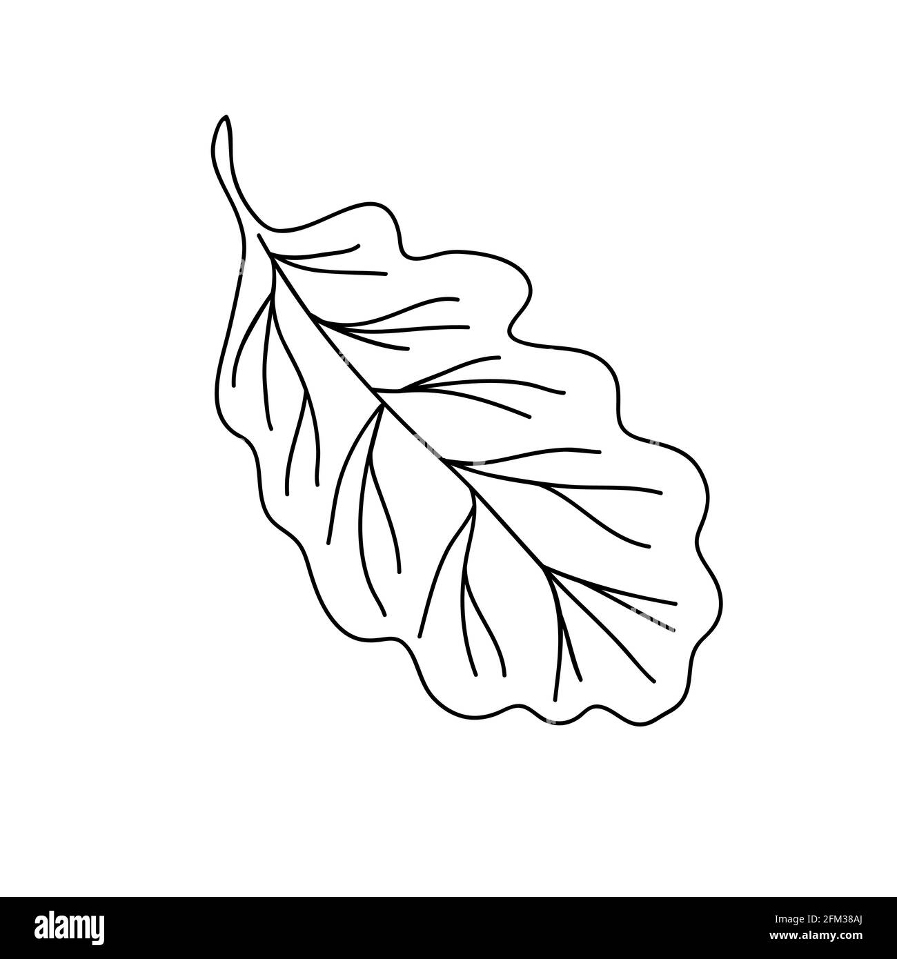 Feuille simple isolé vecteur dessin minimaliste illustration concept ...