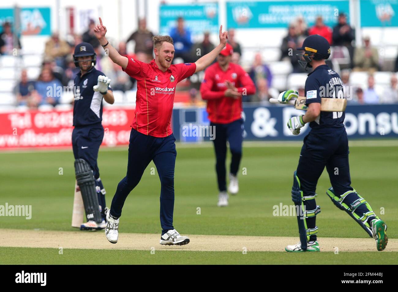Jamie porter, d'Essex, célèbre la prise du cricket de Nick Gubbins lors ...