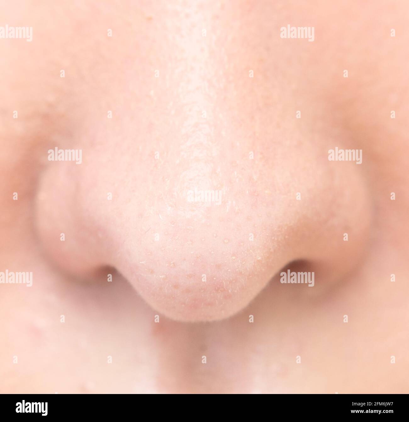 Nez humain Banque de photographies et d’images à haute résolution - Alamy