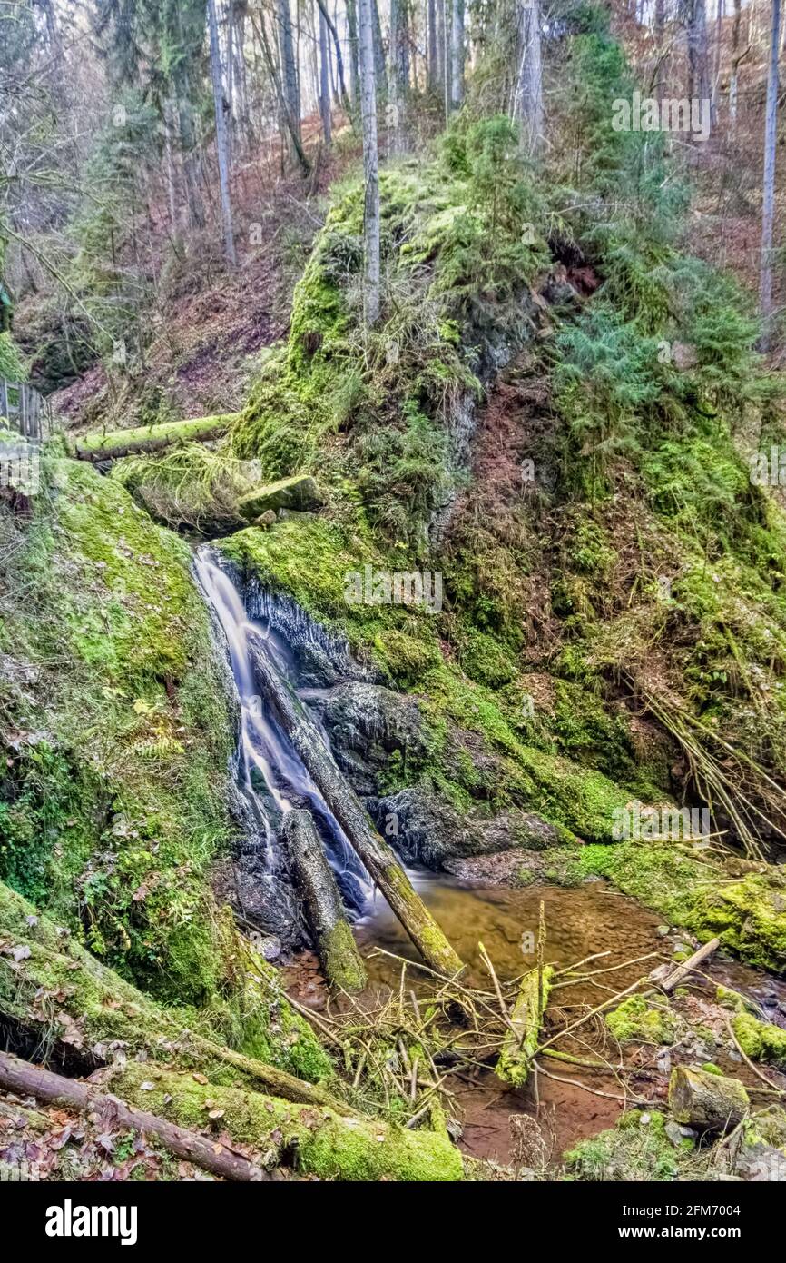 Cascade de Lotenbachklamm avec un pont en bois dans la gorge de Wutach ...