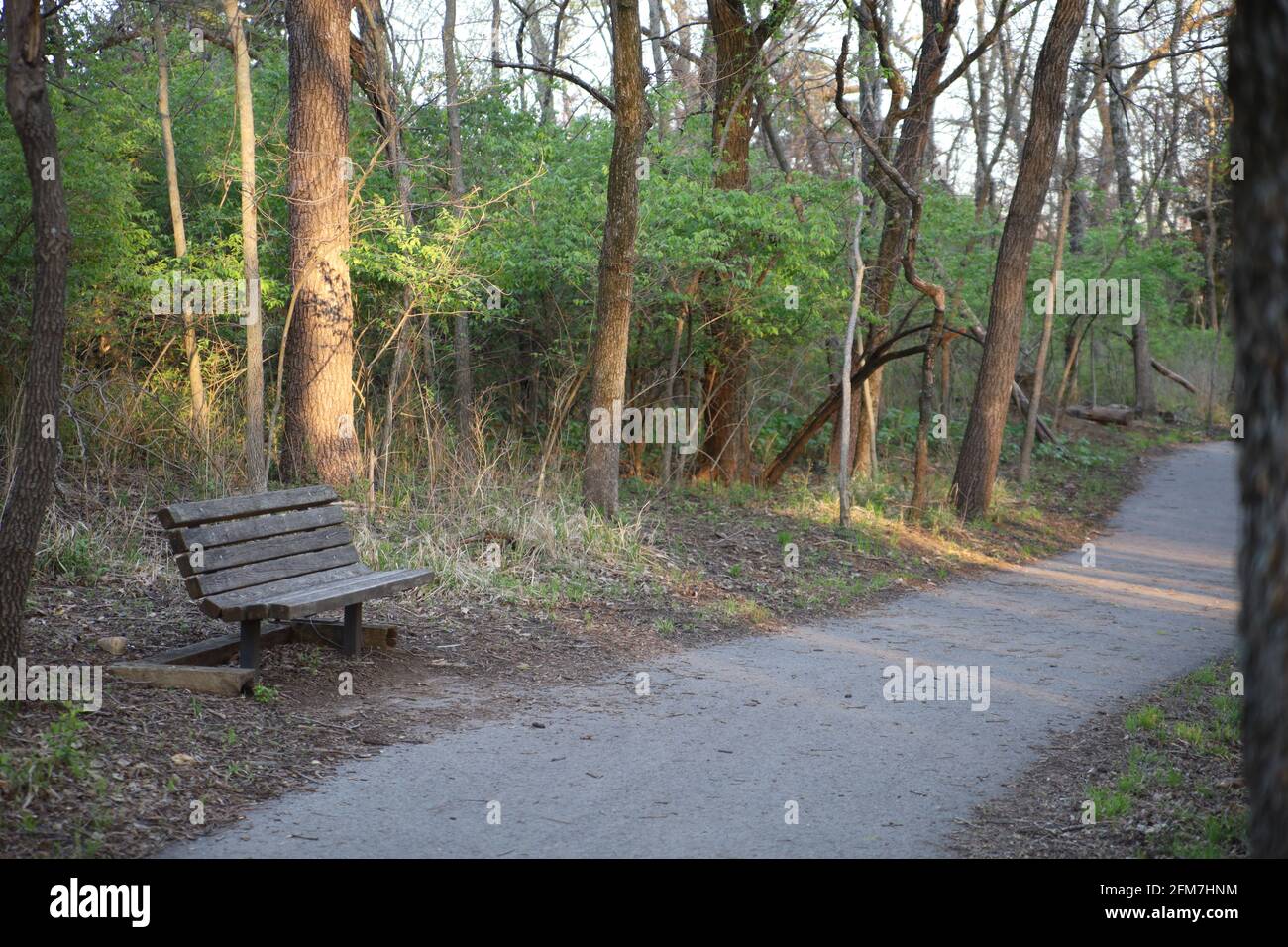 Ancien banc en bois près d'une route non pavée dans la forêt Photo Stock - Alamy