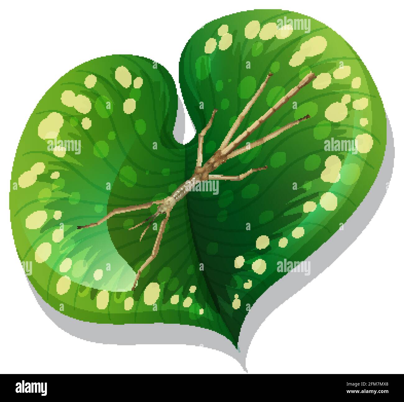 Hydra view Banque d'images vectorielles - Alamy