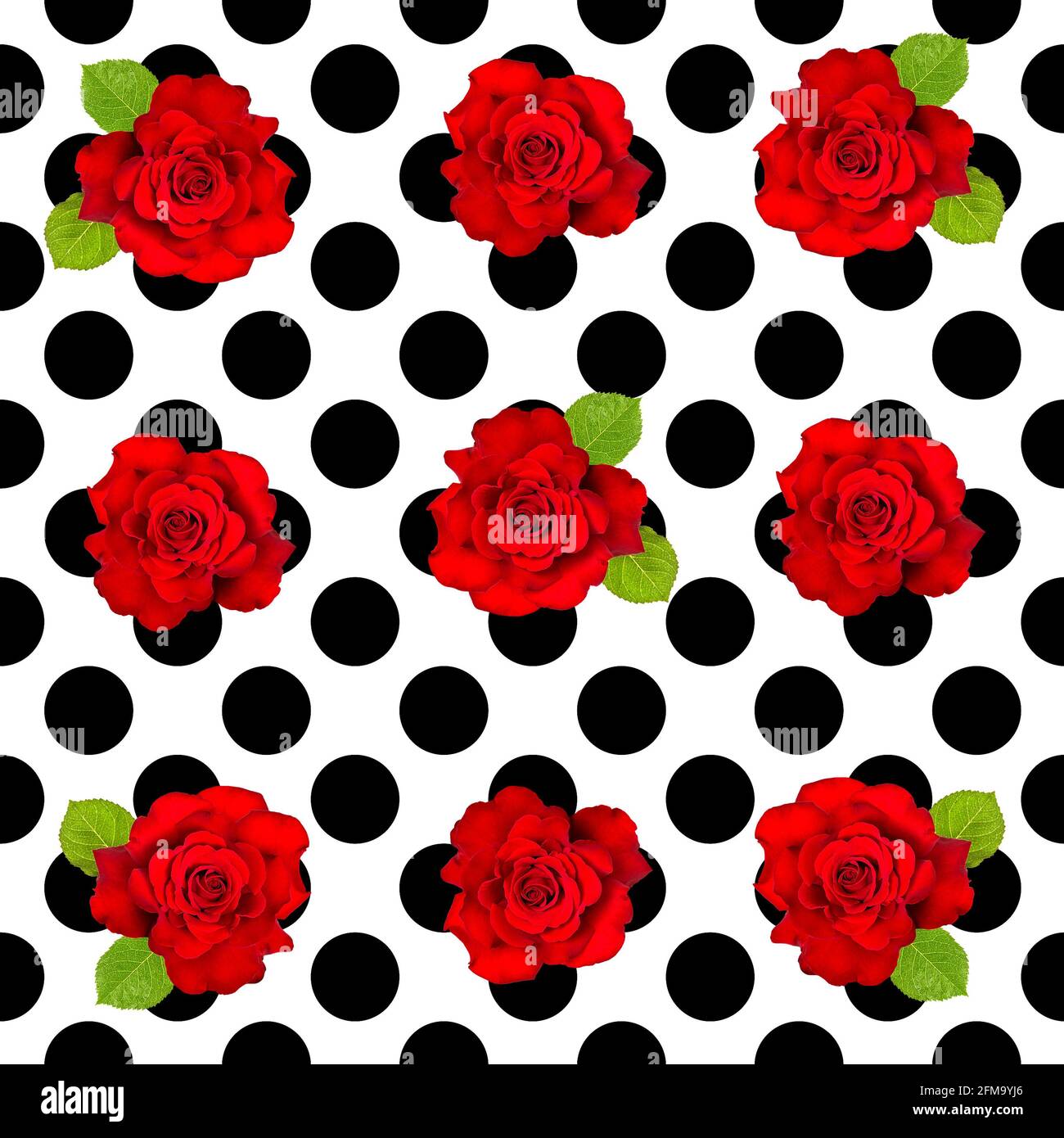 Roses blanches en papier Banque d'images détourées - Alamy