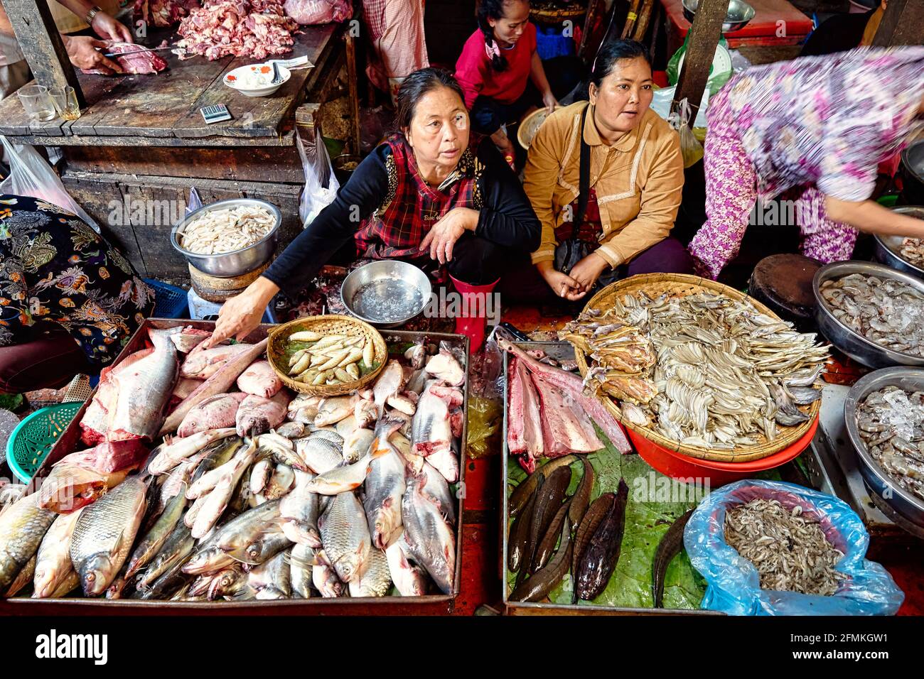 Woman fishmonger Banque de photographies et d’images à haute résolution ...