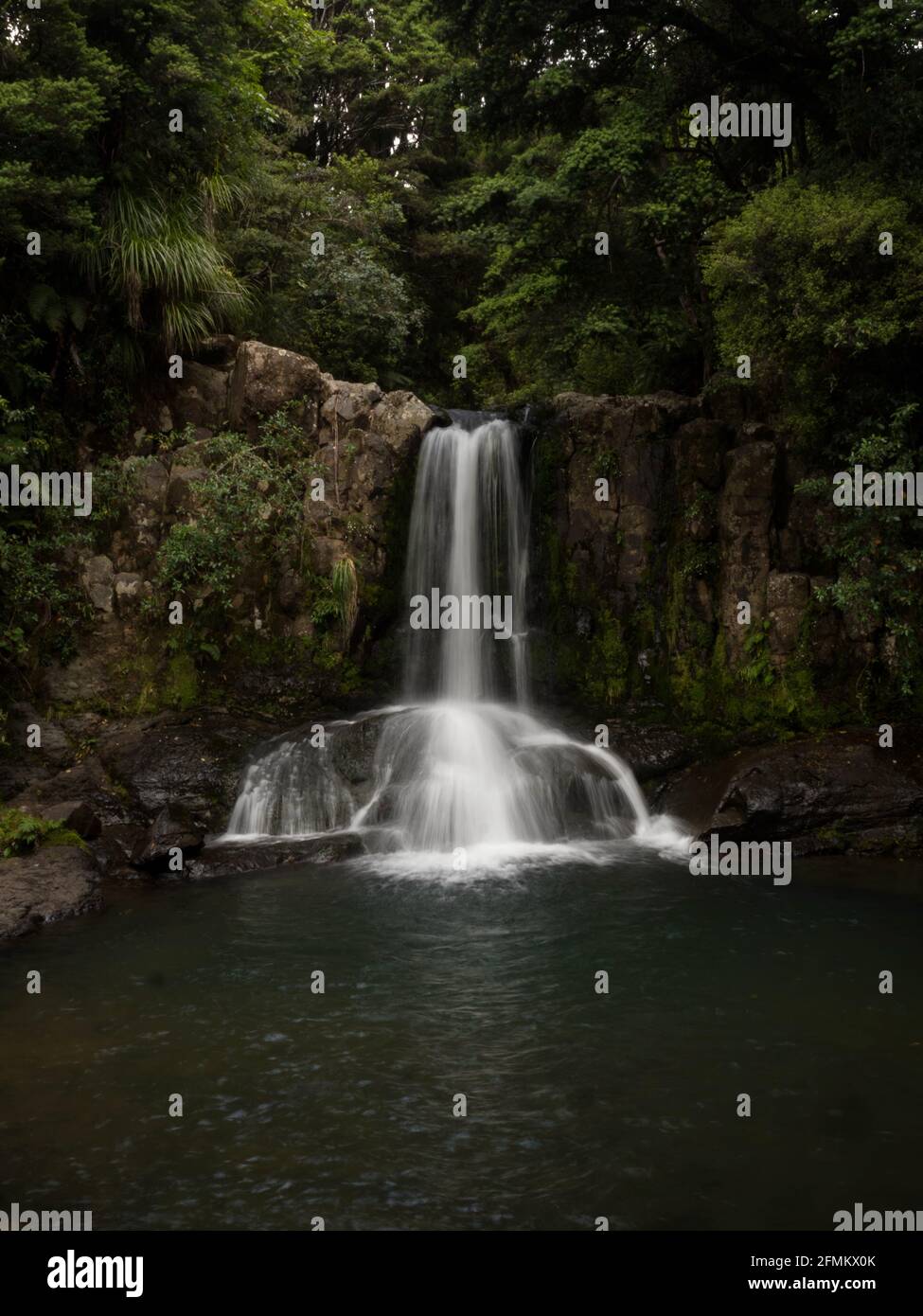 Cascade kauri Banque de photographies et d’images à haute résolution ...